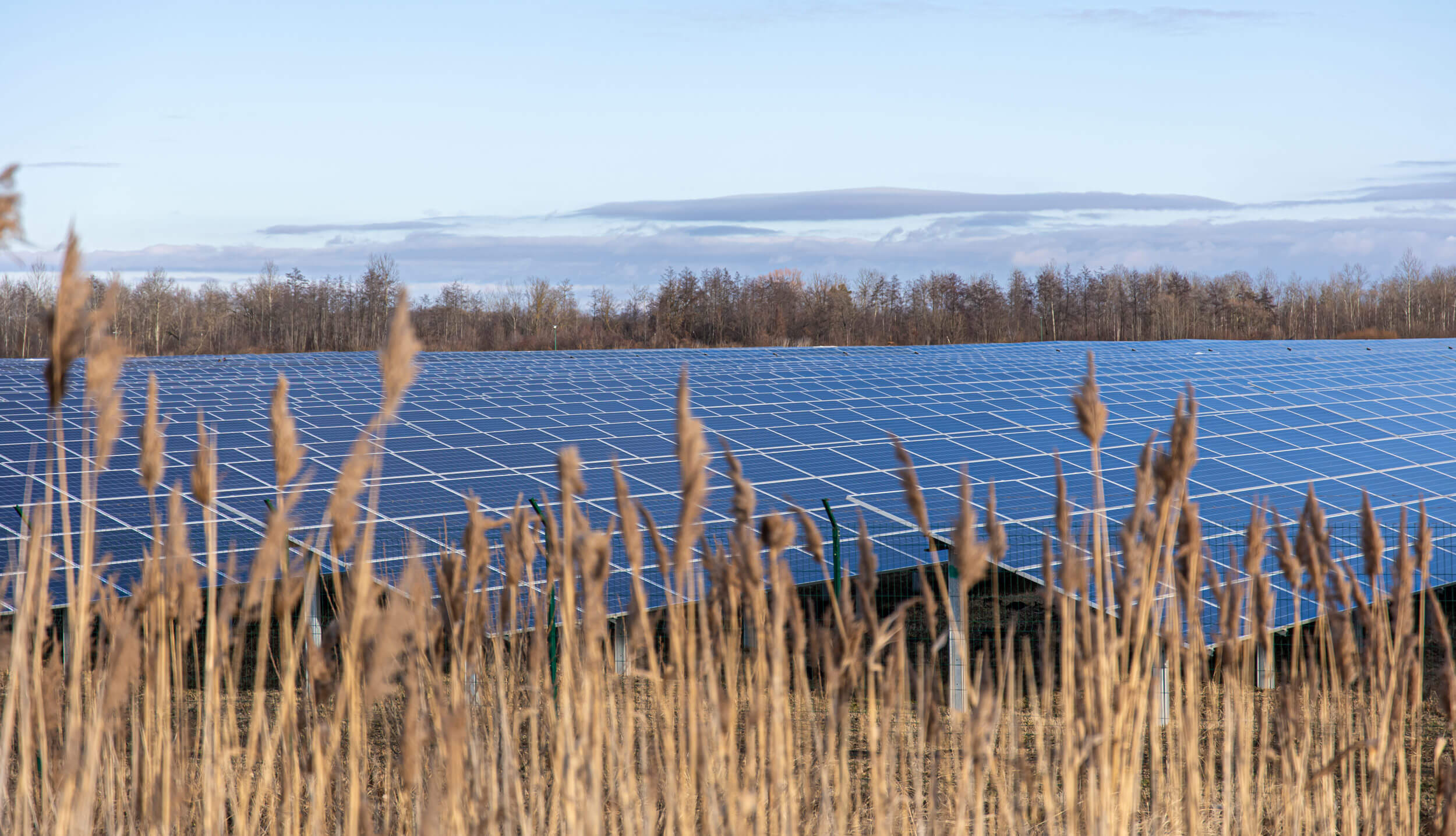 CEL Rural | Implantación de Energías Renovables de proximidad